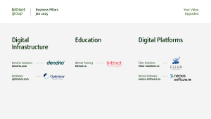 Despre Bittnet - Bittnet Group - Relatii cu Investitorii
